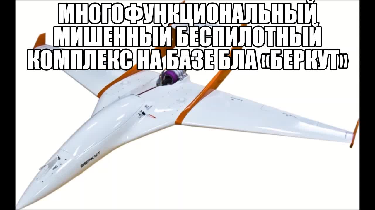 基于 «金鹰» 无人机的多功能目标无人机系统