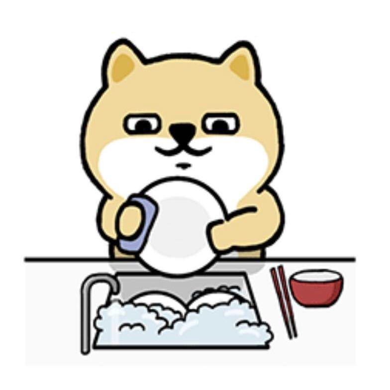 胖柴胖柴 