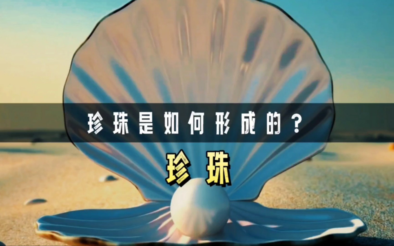 珍珠是如何形成的?养珍珠真的可以一夜暴富吗?