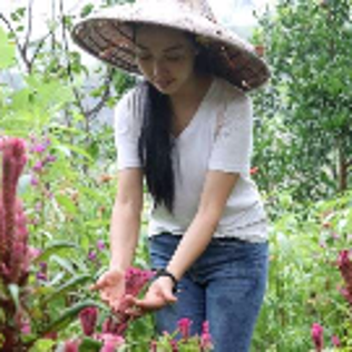 舒家幺妹儿