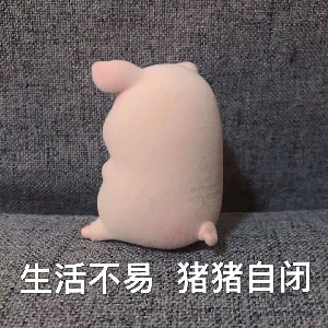 吕诺诺想摘星 