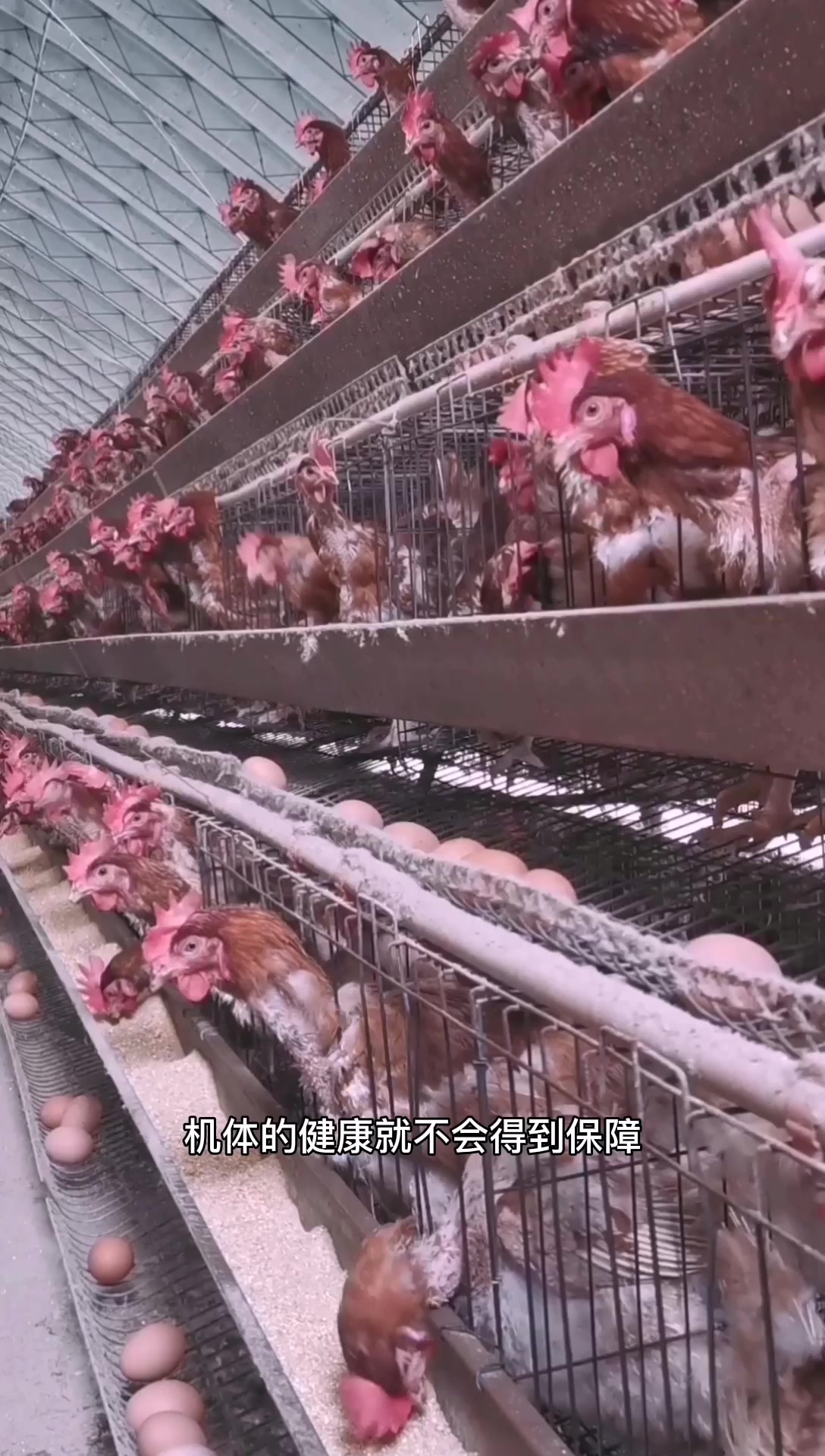 富硒姐姐富硒鸡蛋告诉你,我们的身体需要硒,但你知道为什么吗