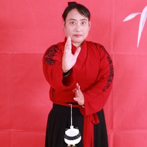 正传心意 