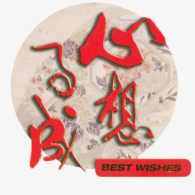 高中物理成老师 