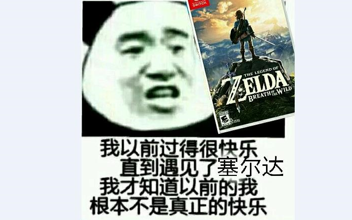 塞尔达传说 旷野之息天下第一! #13(完)