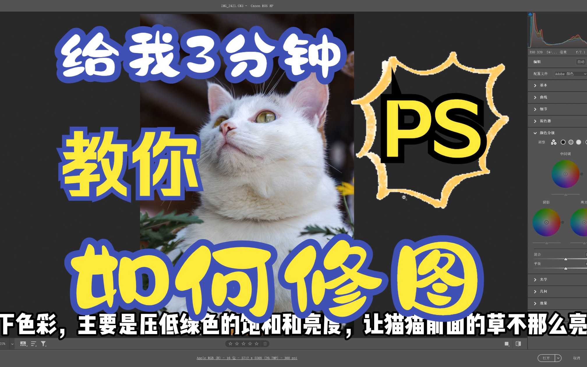 3分钟教你快速ps修图