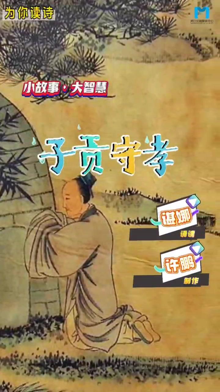 小故事大智慧(第20集):子贡守孝#弘扬国学经典故事##中华传统文化##.
