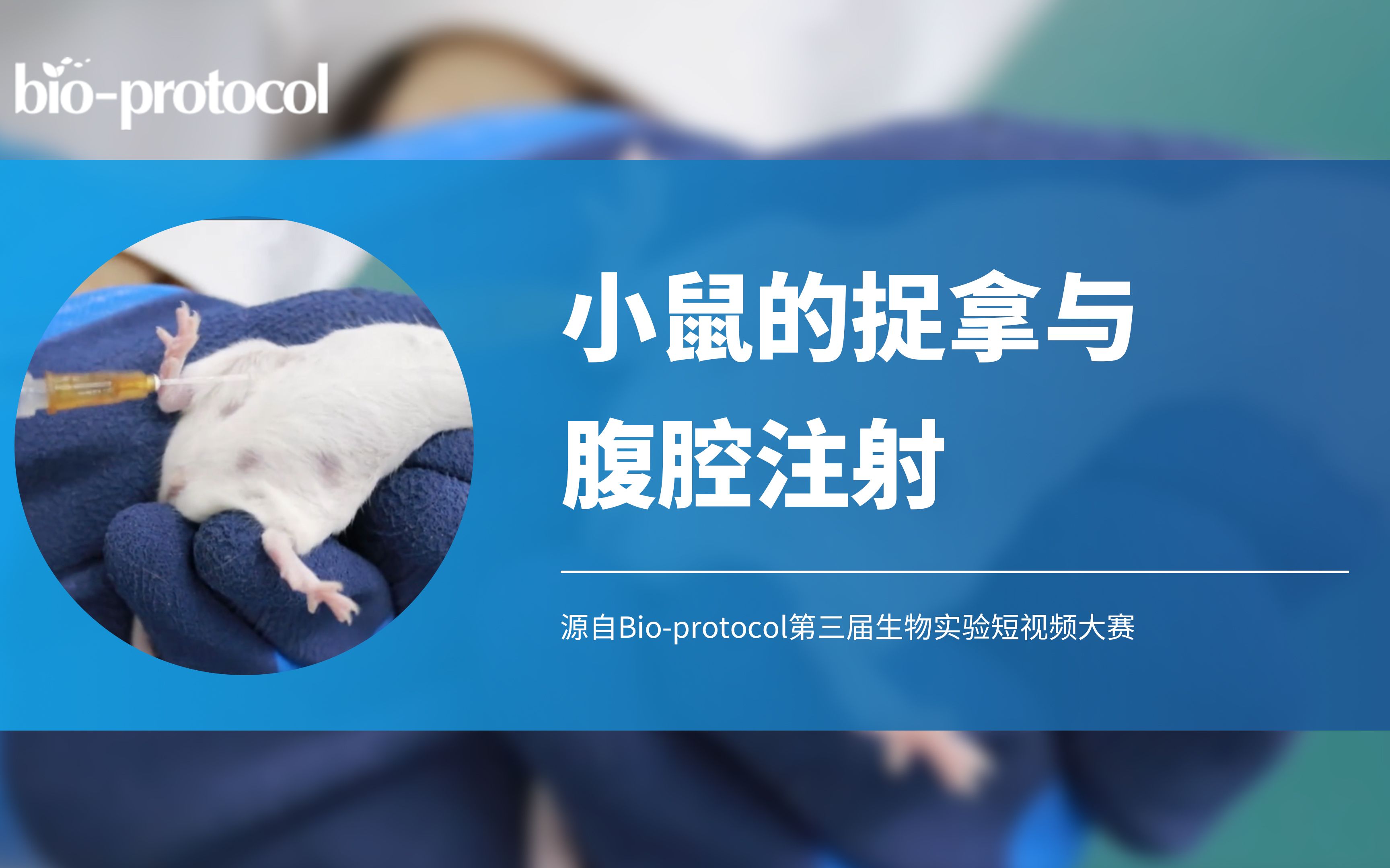 【短视频大赛】小鼠的捉拿与腹腔注射