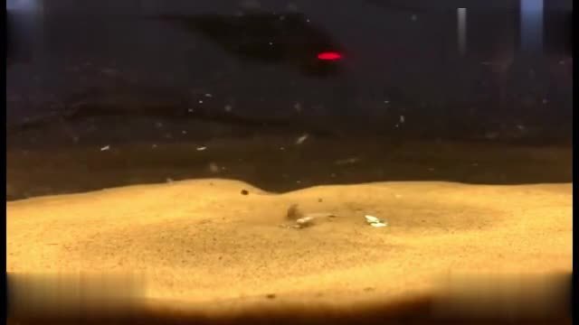 这个实验告诉你龙卷风是怎么形成的