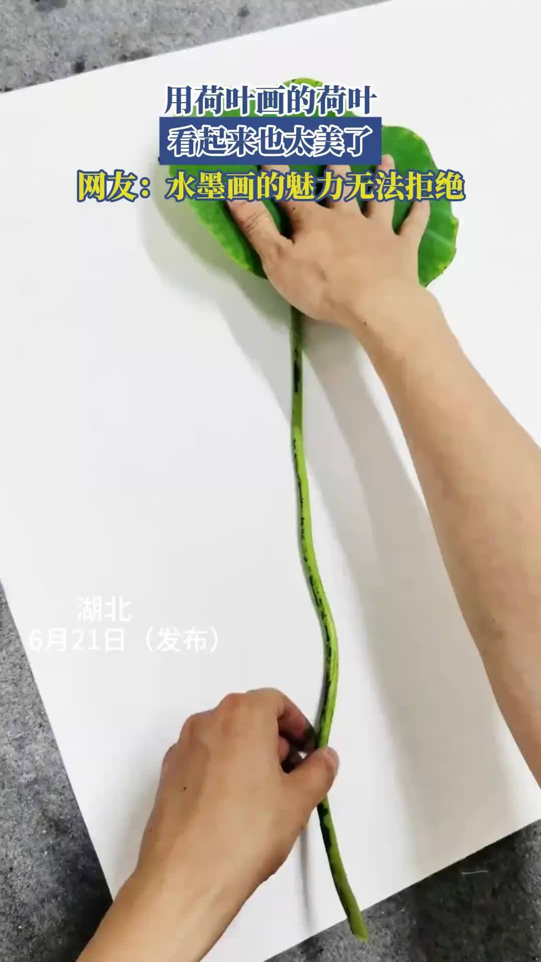 用荷叶画的荷叶,看起来也太美了,网友:水墨画的魅力无法拒绝