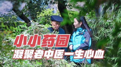 一生收集100多种草药!85岁老中医治疗肝病,为何离不开3味草药