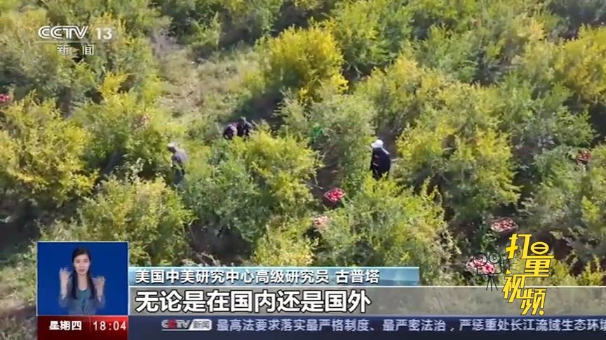 中国经验为全球减贫事业贡献智慧与力量|共同关注