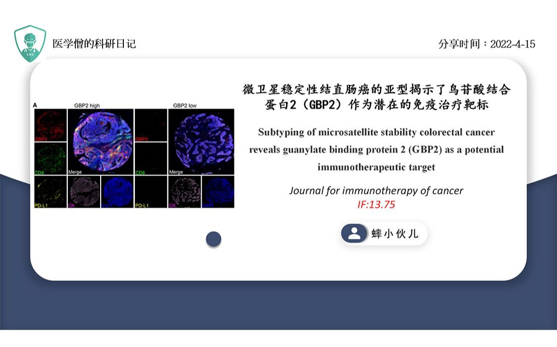 微卫星稳定型结直肠癌的亚型揭示了GBP2作为潜在的免疫治疗靶标