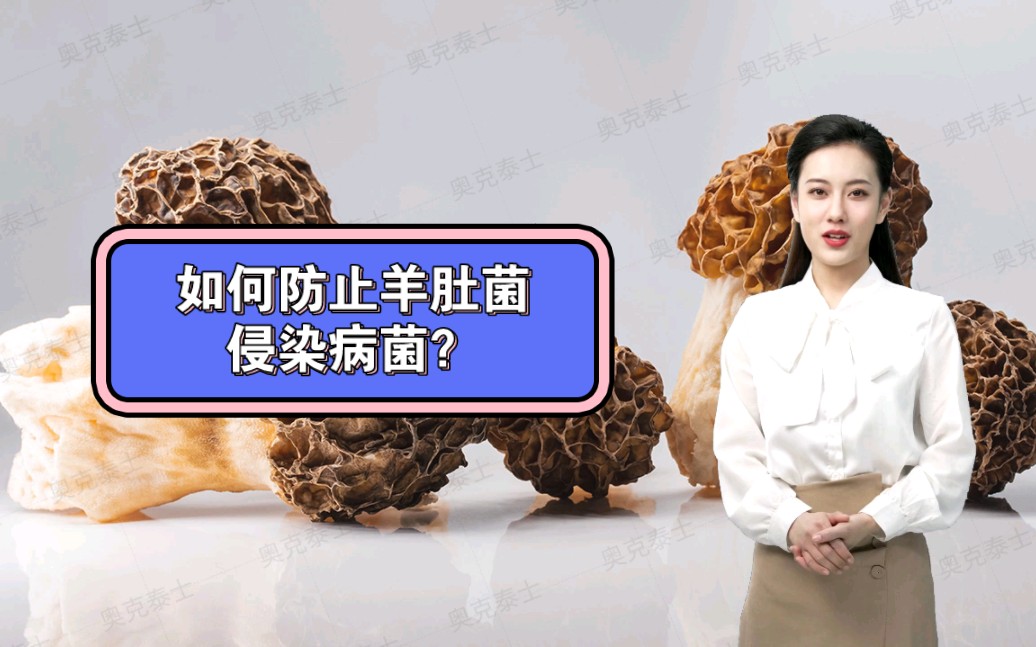 如何防止羊肚菌侵染病菌?