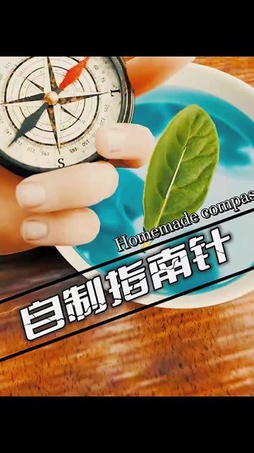 自制指南针