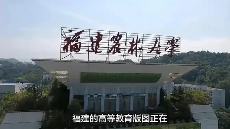 2025福建高校排名大洗牌:农林逆袭,理工崛起,黑马频出!