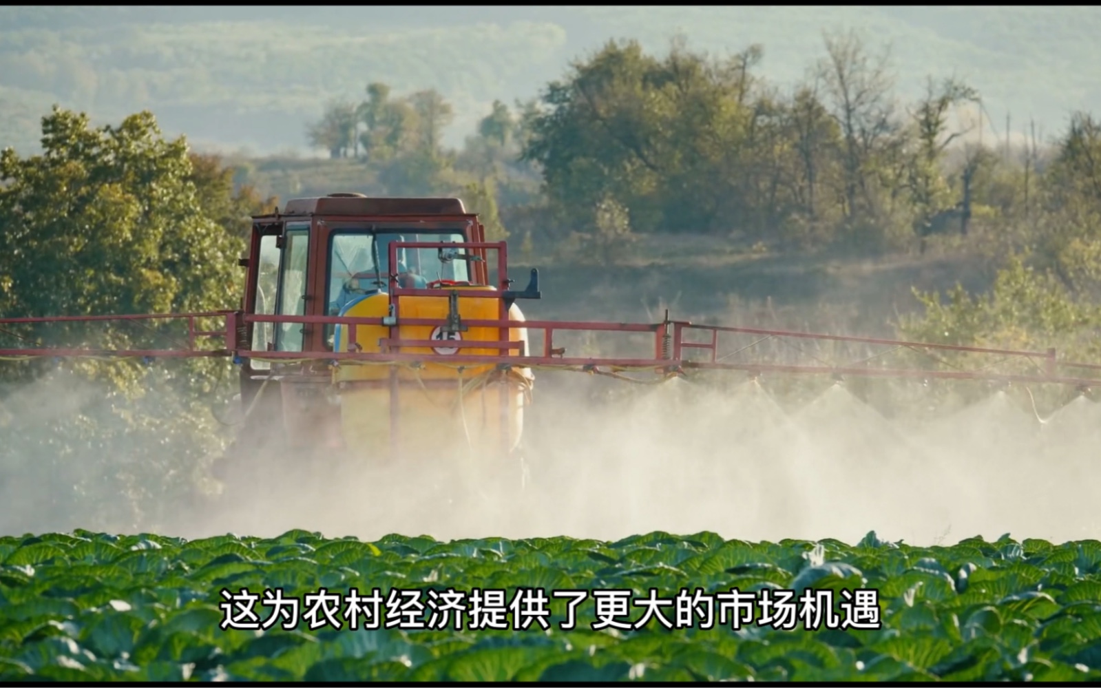 绿色生态农业发展的前景