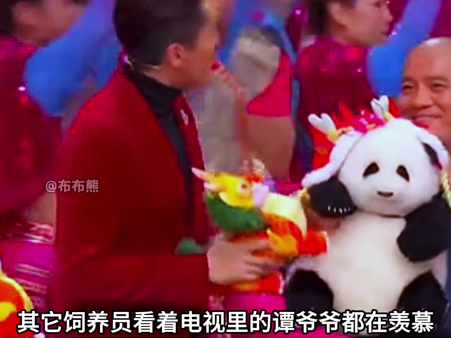 为什么顶流明星能上春晚顶流大熊猫却不能上春晚 每只熊不符合的...