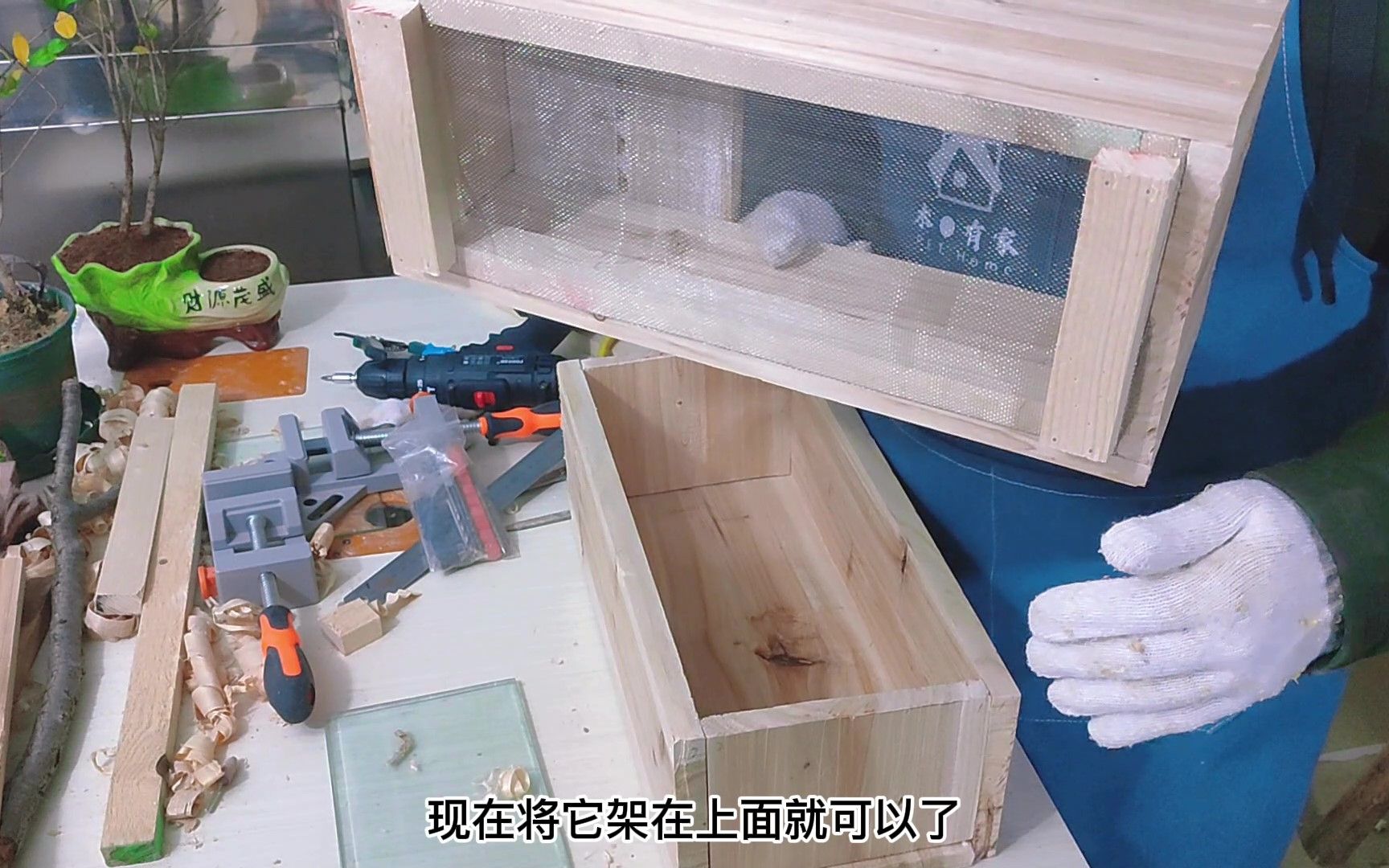 用木板做了个面包虫饲养箱,应该很容易爬出来吧?