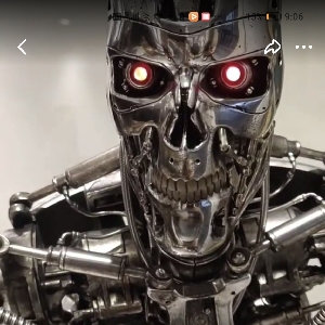 terminatorskynet 