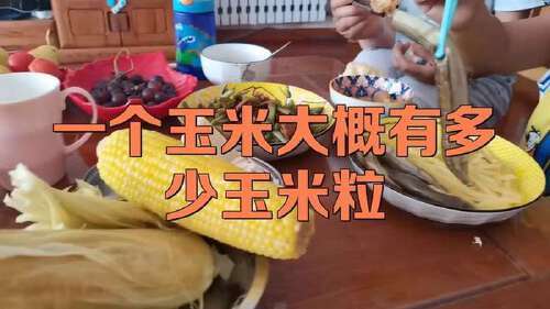 数玉米粒挑战!一个玉米竟藏这么多秘密