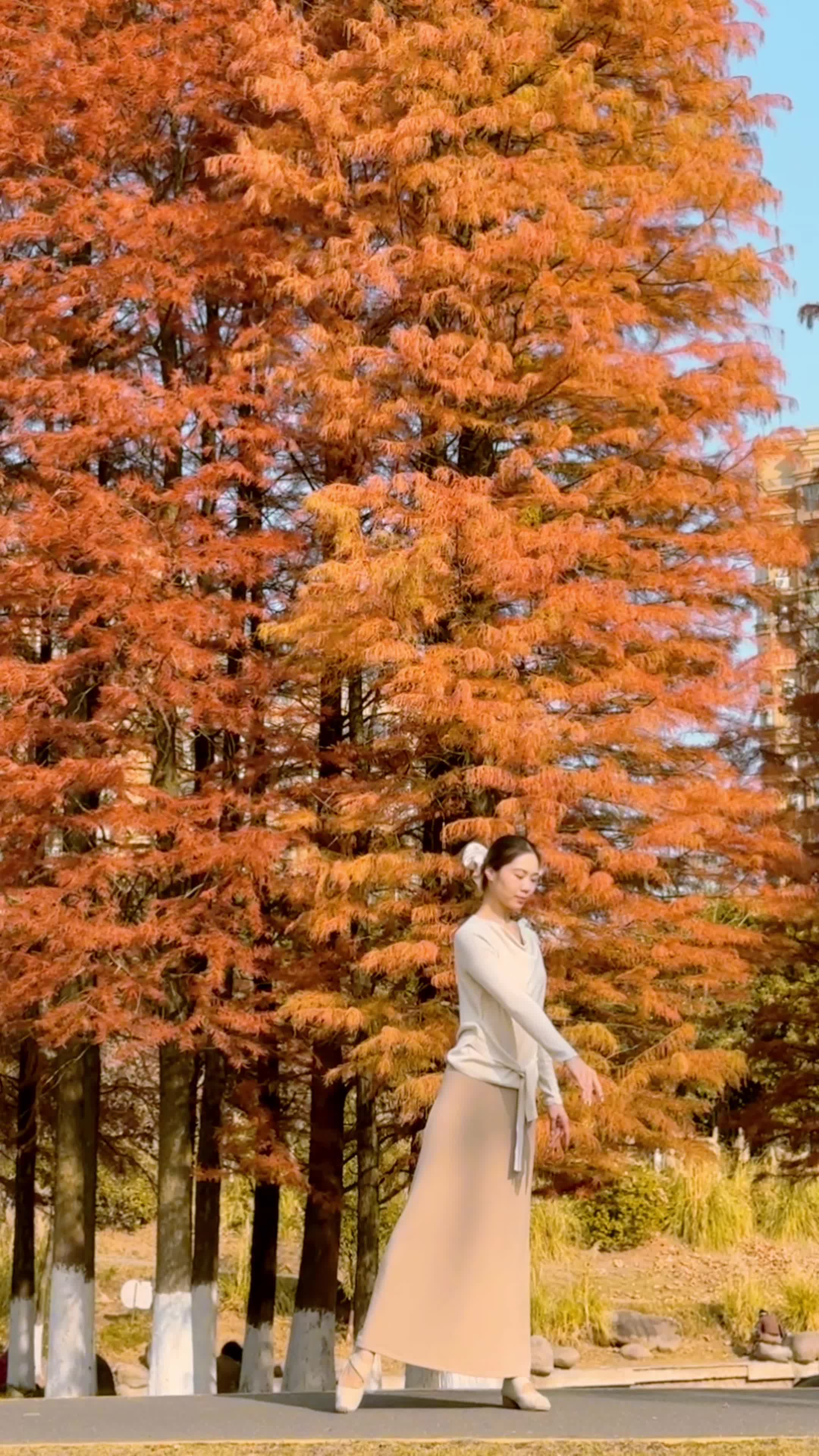 落在生命里的风和光都是好天气!ߍ� 无扇子版叶舞 原创@杜。 #叶舞 ...