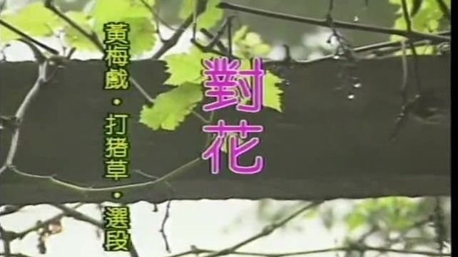 黄梅戏·打猪草 - 对花,一首经典就这么在记忆的长河里被淡忘了