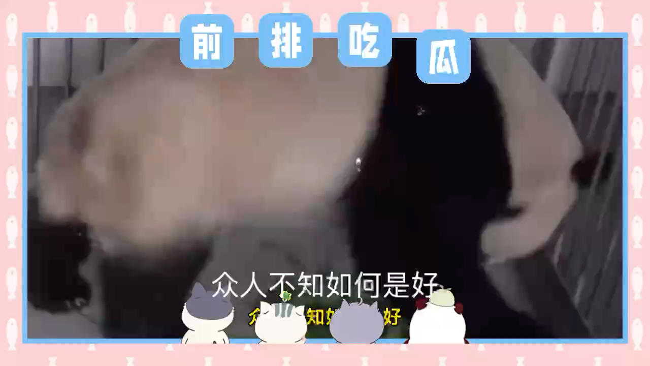 福宝出生前,爱宝疼痛难忍,爷爷们也是心痛的不行,跟随我的镜头一起...