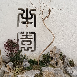 纺织学院军军老师 