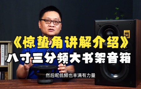 难以忘怀的中频,一听入迷,八寸三分频书架箱,惊蛰角讲解介绍!