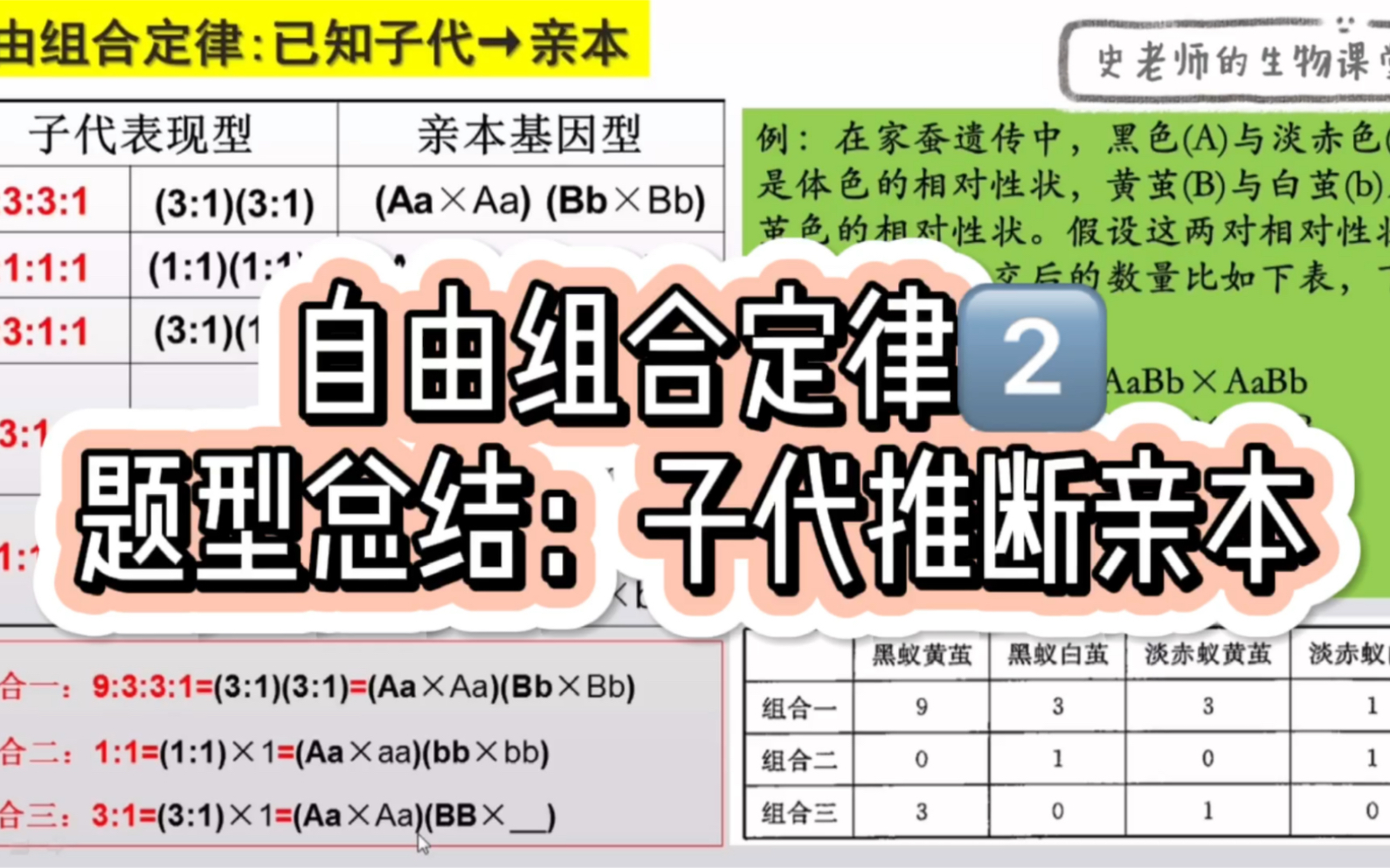 自由组合定律2⃣️|题型总结:已知子代表现型,推断亲本基因型和表现型