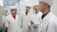 公司优秀员工高清完整版本样片