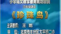 新课程小学语文名师课堂实录C【珍珠鸟】课堂实录优质课教学视频