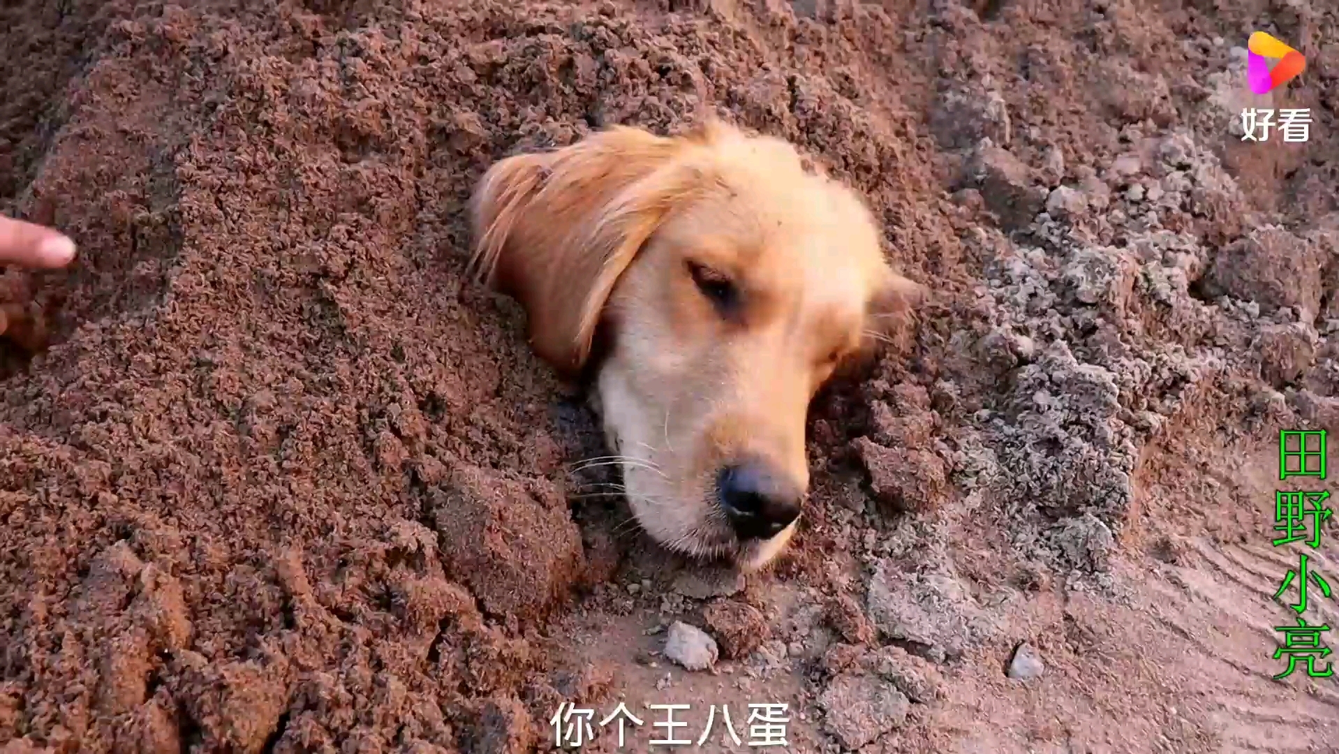 视频调到16倍速,会是什么