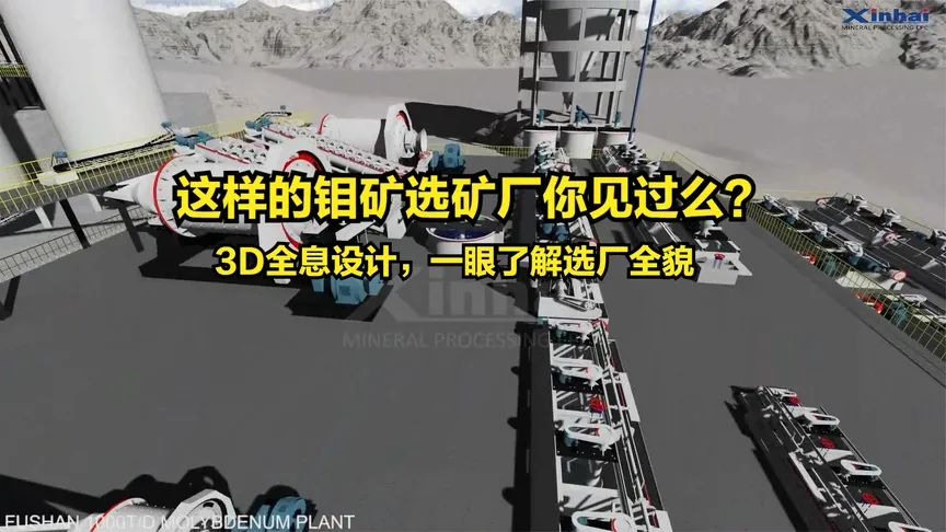 这样的钼矿选矿厂你见过么?3D全息设计,一眼了解选厂全貌