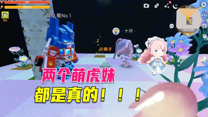 迷你世界:和萌虎妹一起逃离萌虎妹的家,两个都是货真价实的妹子