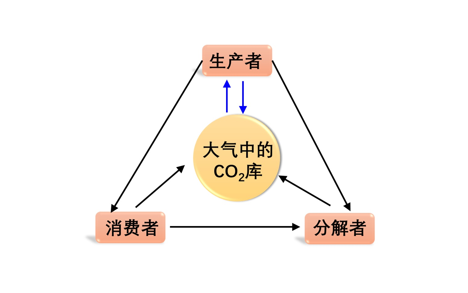 选择性必修2第三章第3节:生态系统的物质循环(新教材新授课)