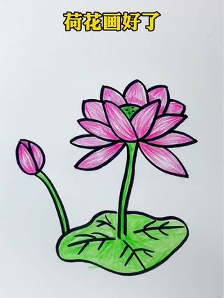这样画荷花超级简单,跟我学起来吧#儿童画 #育儿简笔画 #亲子...