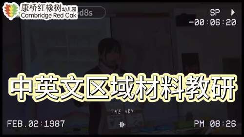 中英文区域材料投放教研!