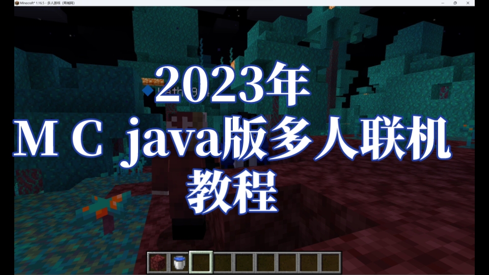 【MC Java版】超详细国际版MC联机教程-小白也能学会-不需要内网...