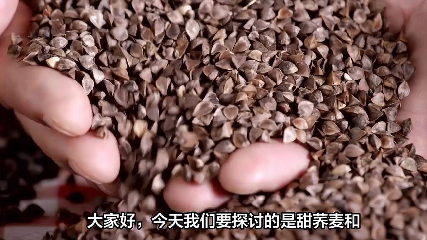 甜荞麦和苦荞麦有什么区别?苦荞甜荞谁更降糖降脂?