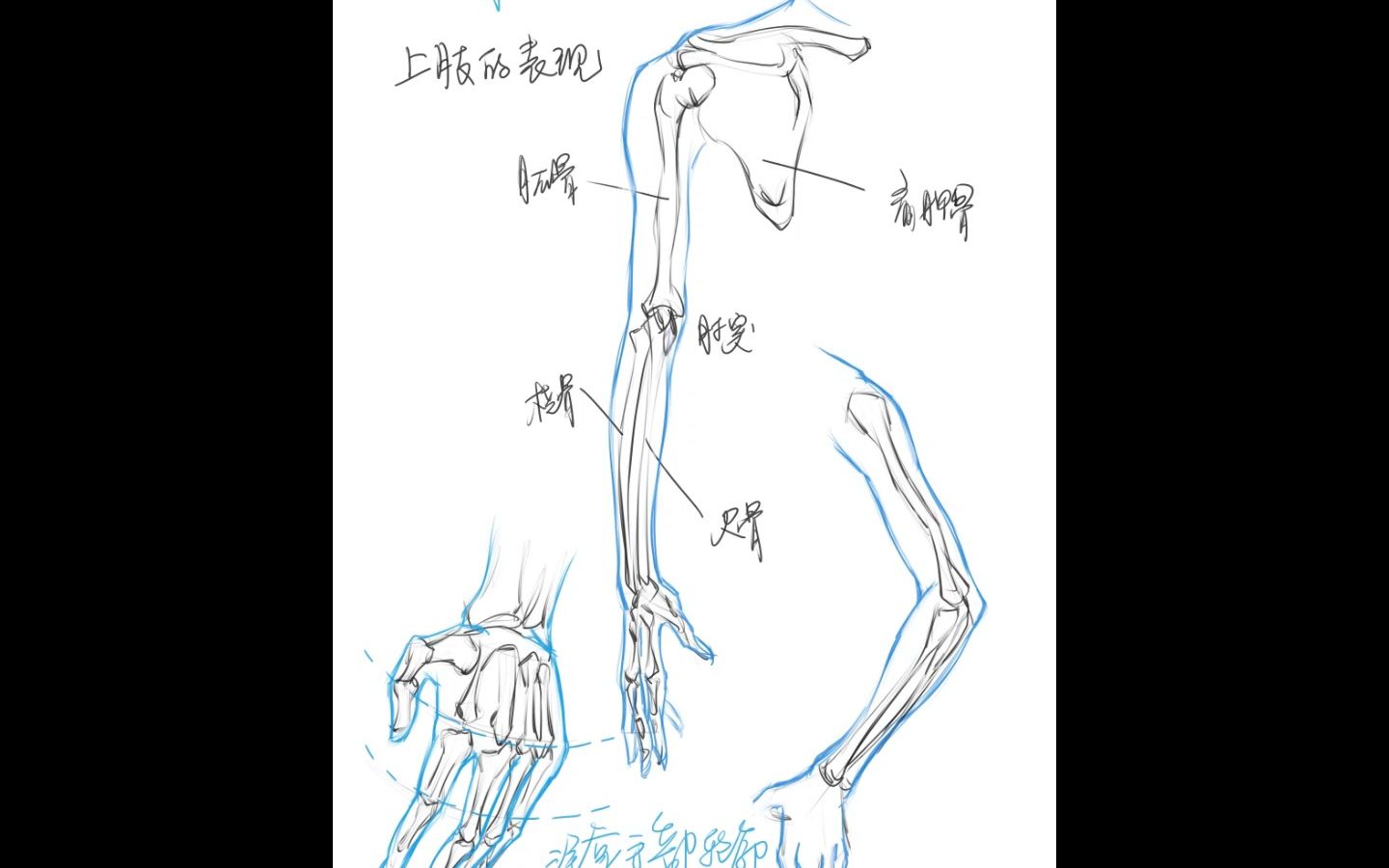 服装设计 时装画技法 上肢的表现