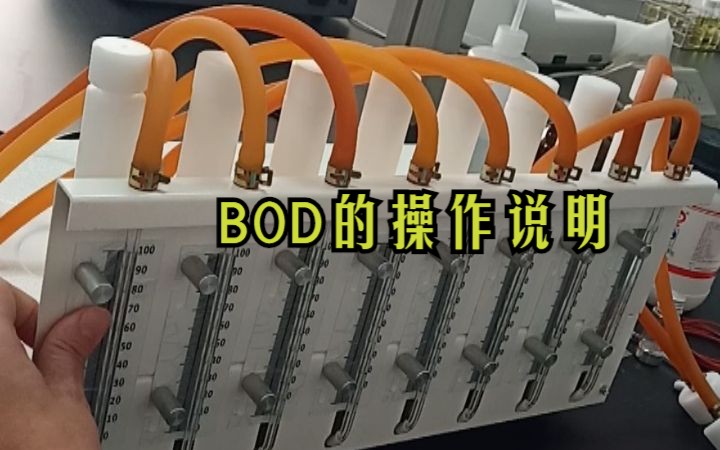 BOD的使用教程