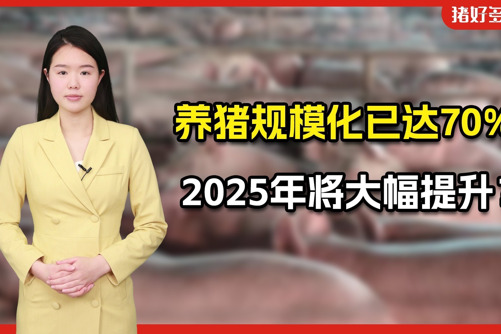 2025年畜禽养殖规模化率将达78%?猪企继续扩张!