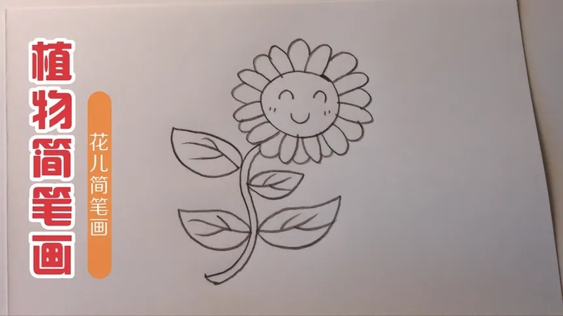 花儿简笔画