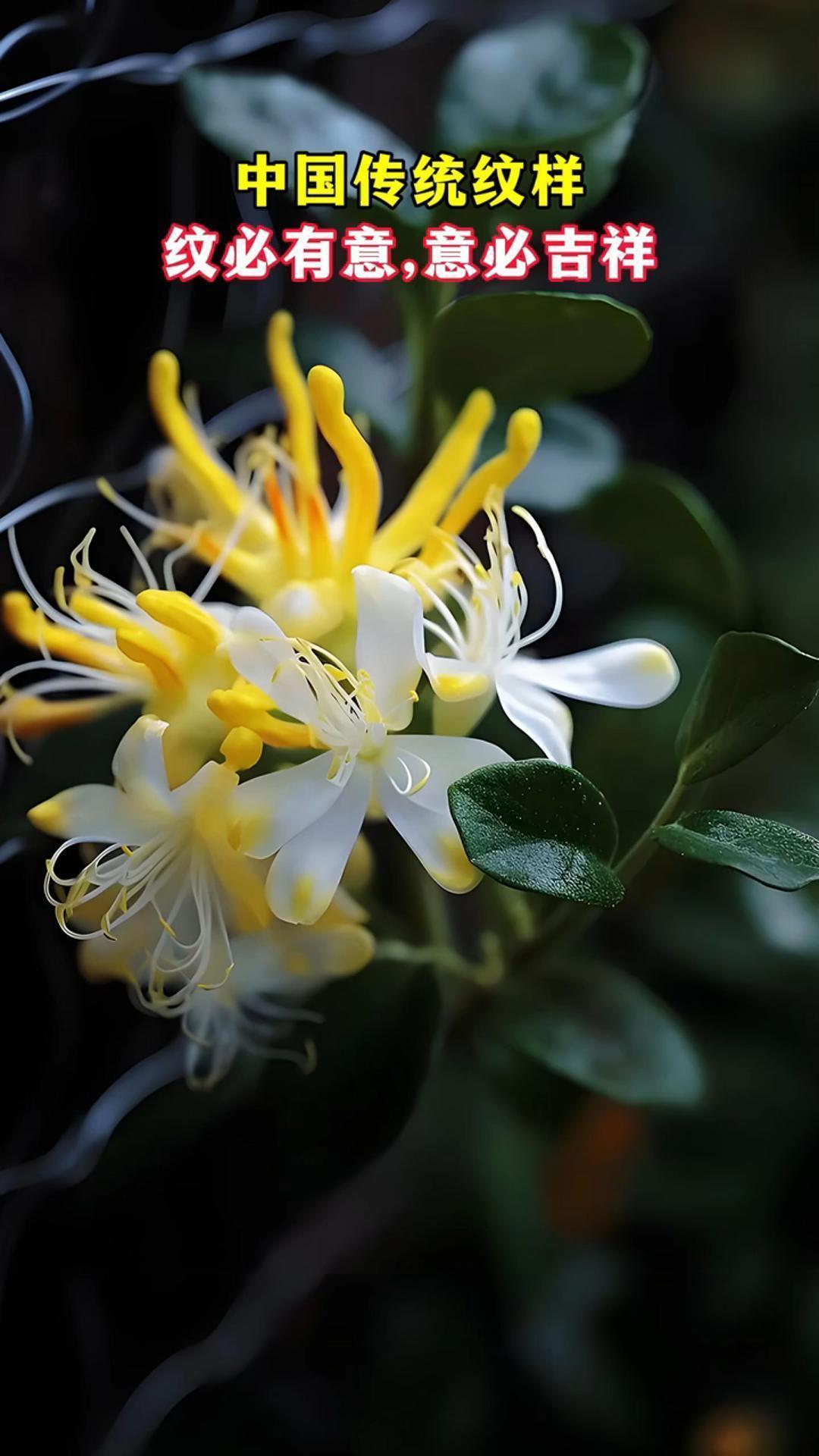 中国传统纹样的天花板,网友:纹必有意,意必吉祥