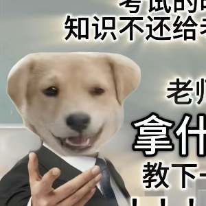 大b站万岁万万岁 