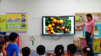 中班数学活动:小小统计员