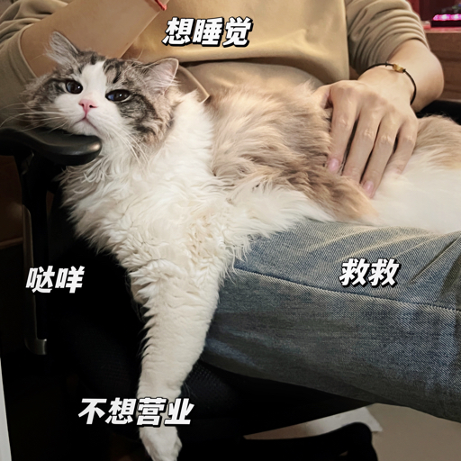 一只木木哇 