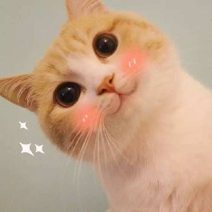 HaHa英语酱 